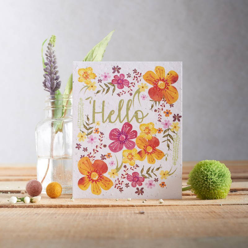 How to Photograph Greeting Cards – Greeting Card Association